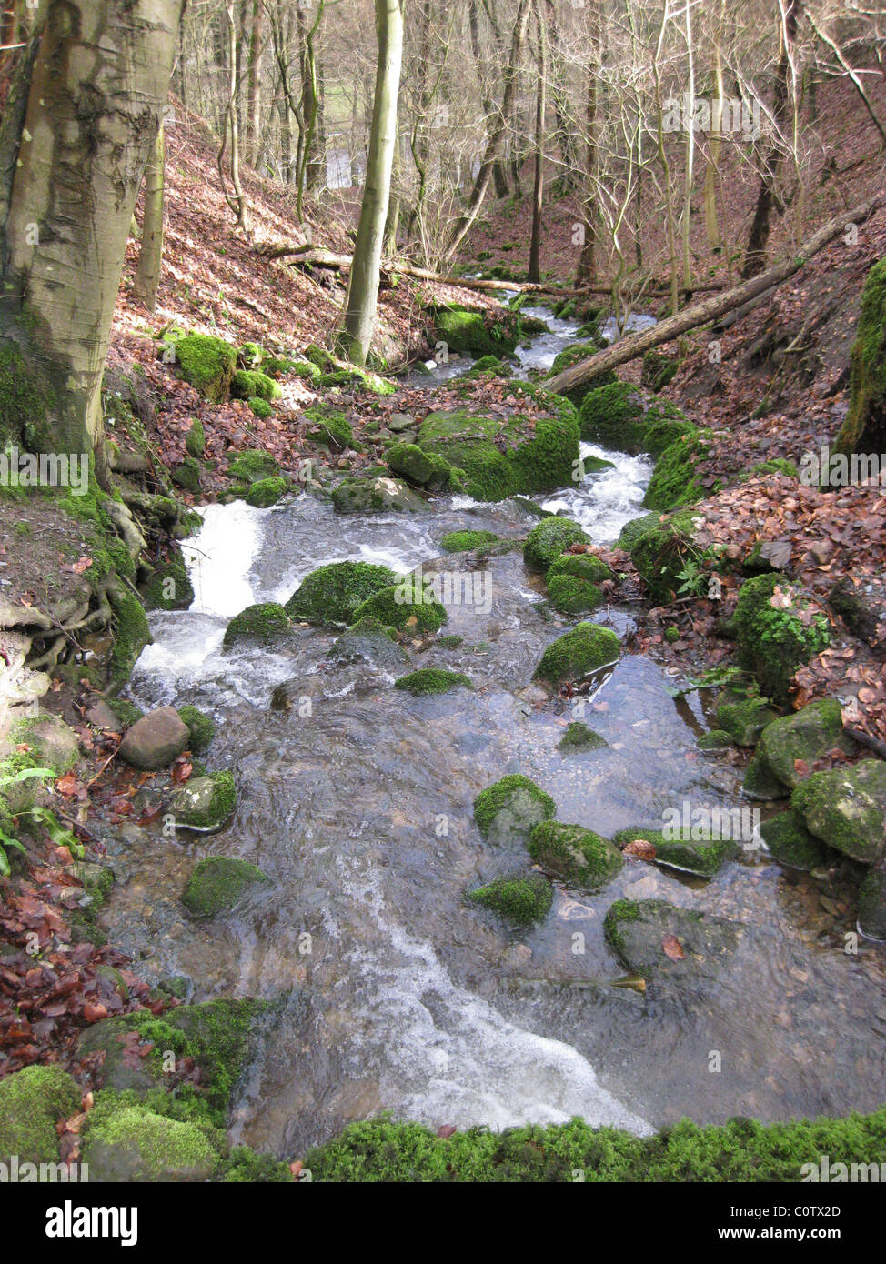 Waterfall at Bolton Abbey West Yorkshire Stock Photo - Alamy