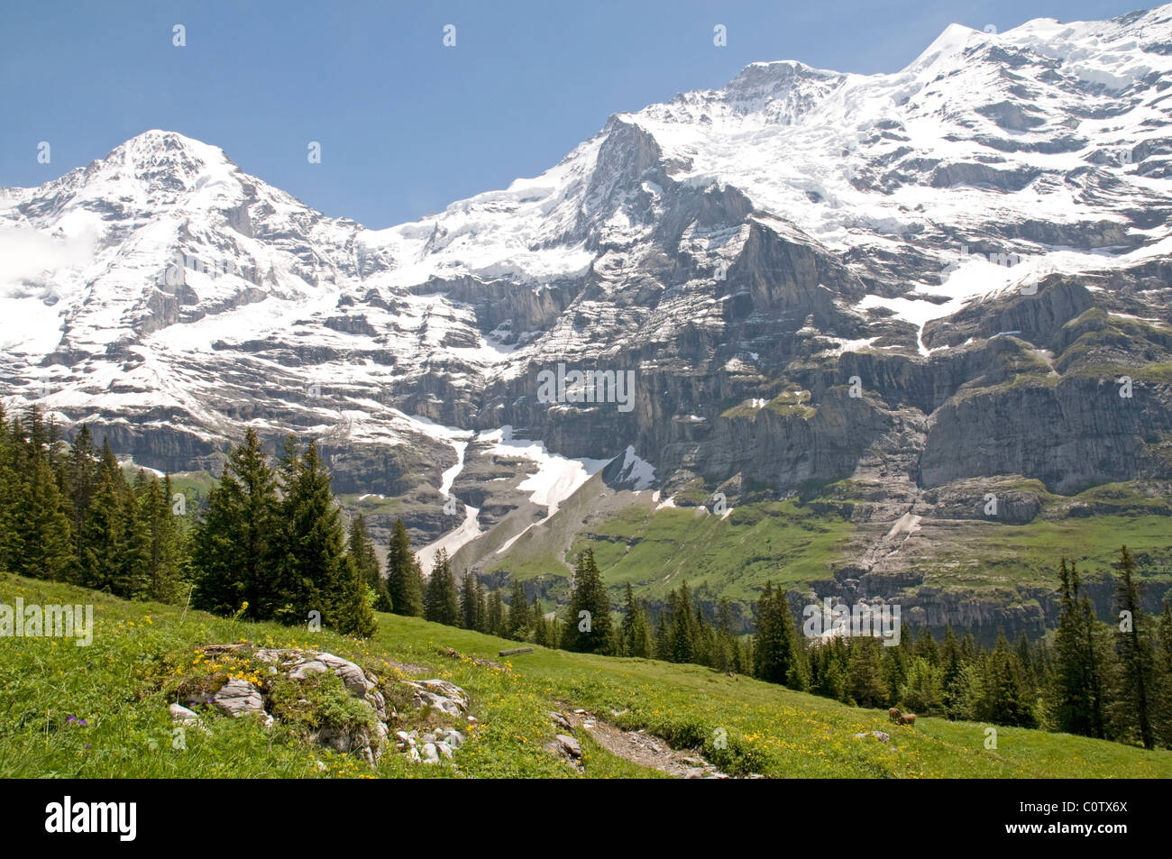 Great view of the Monch and the Jungfrau in summer Stock Photo - Alamy