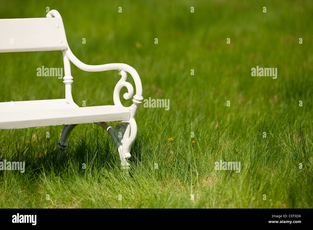 Spring and summer - White romantic bench in meadow on sunny day Stock ...