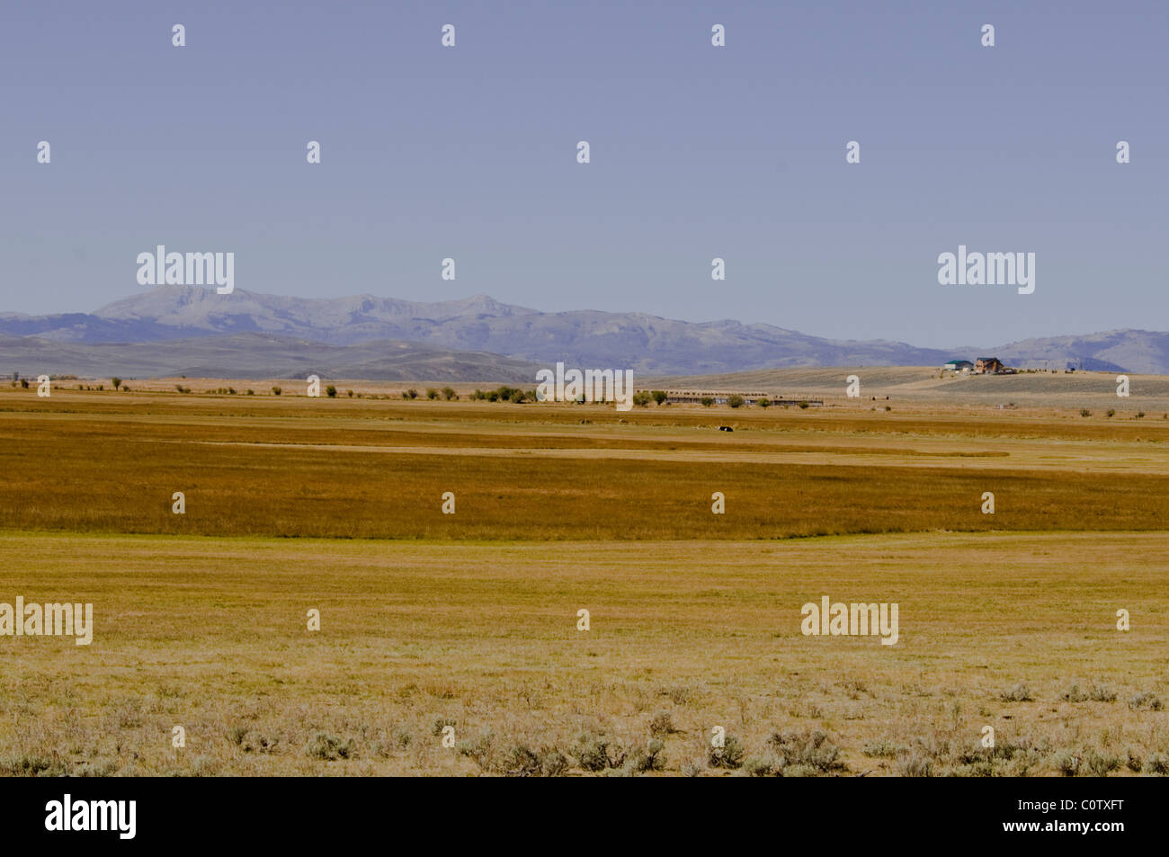 Eastern wyoming grassy plains hi-res stock photography and images - Alamy