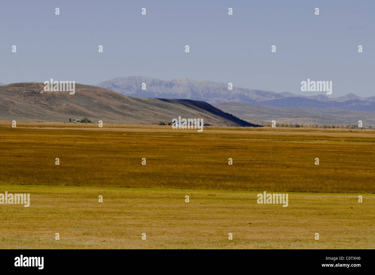 Cattle ranches wyoming hi-res stock photography and images - Alamy