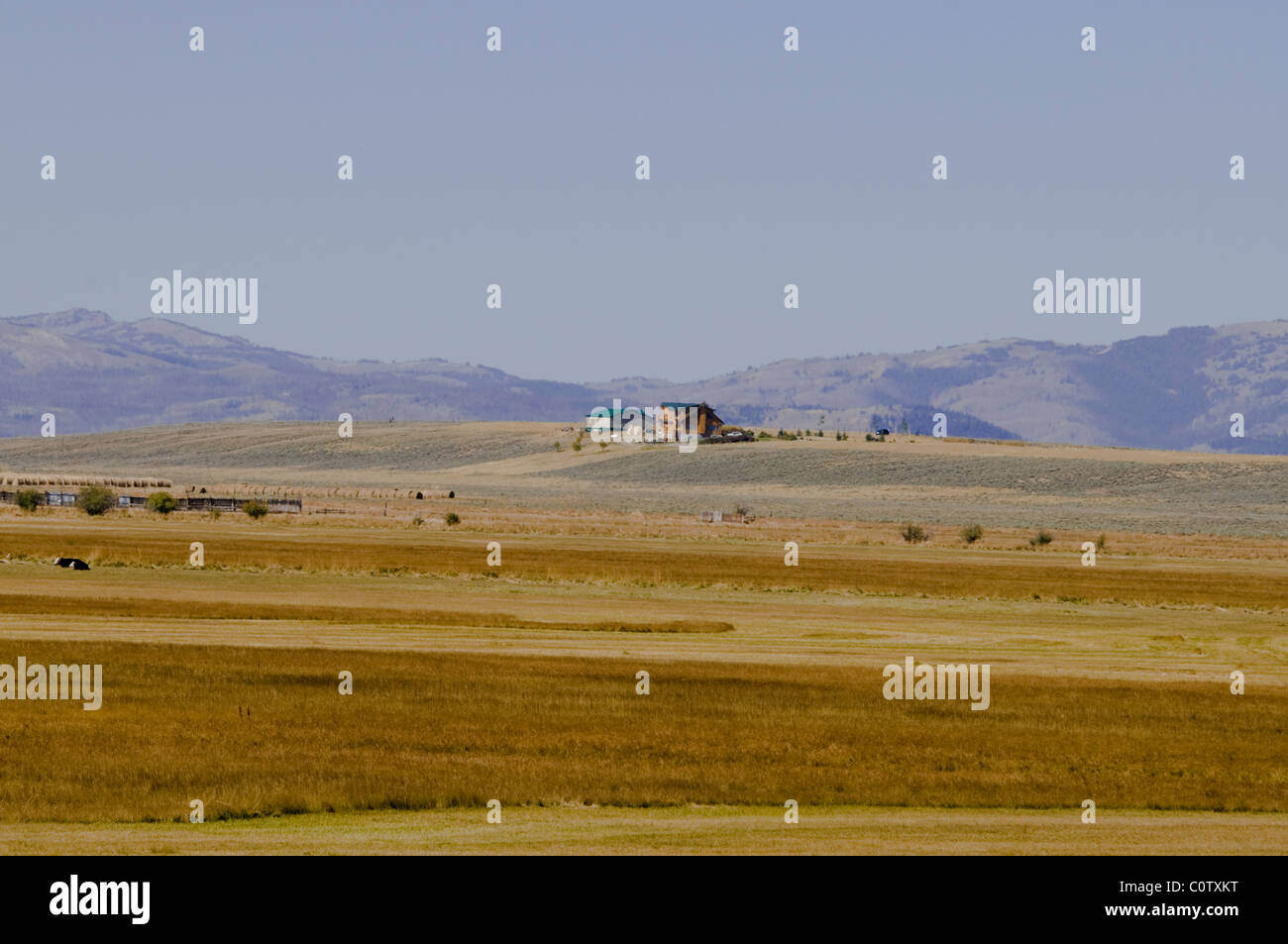 Eastern Wyoming Plains,Cattle Ranching,West of Laramie and Cheynne ...