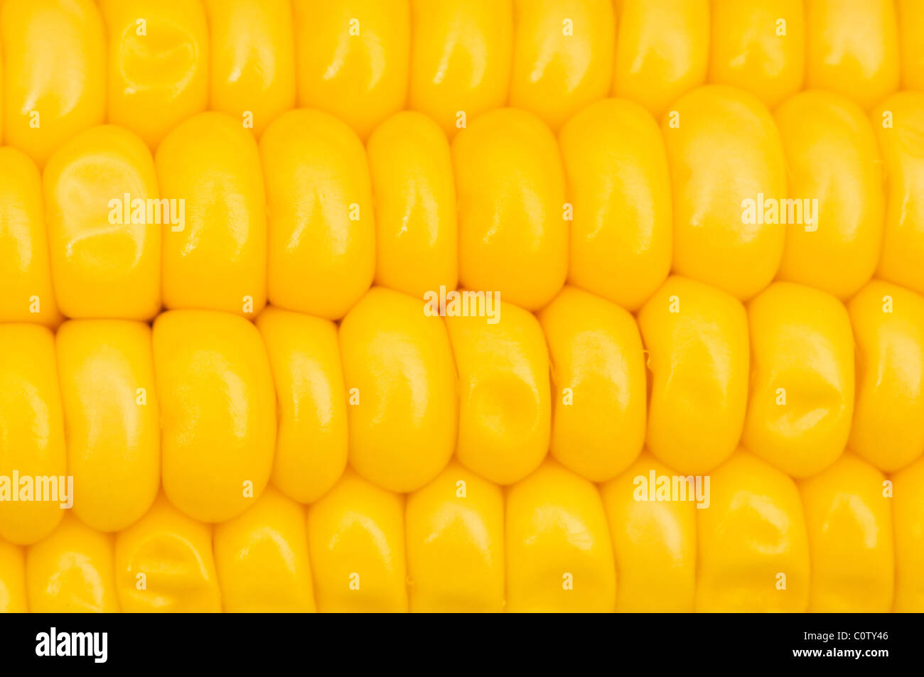 Extreme close up of yellow corn cobs Stock Photo - Alamy