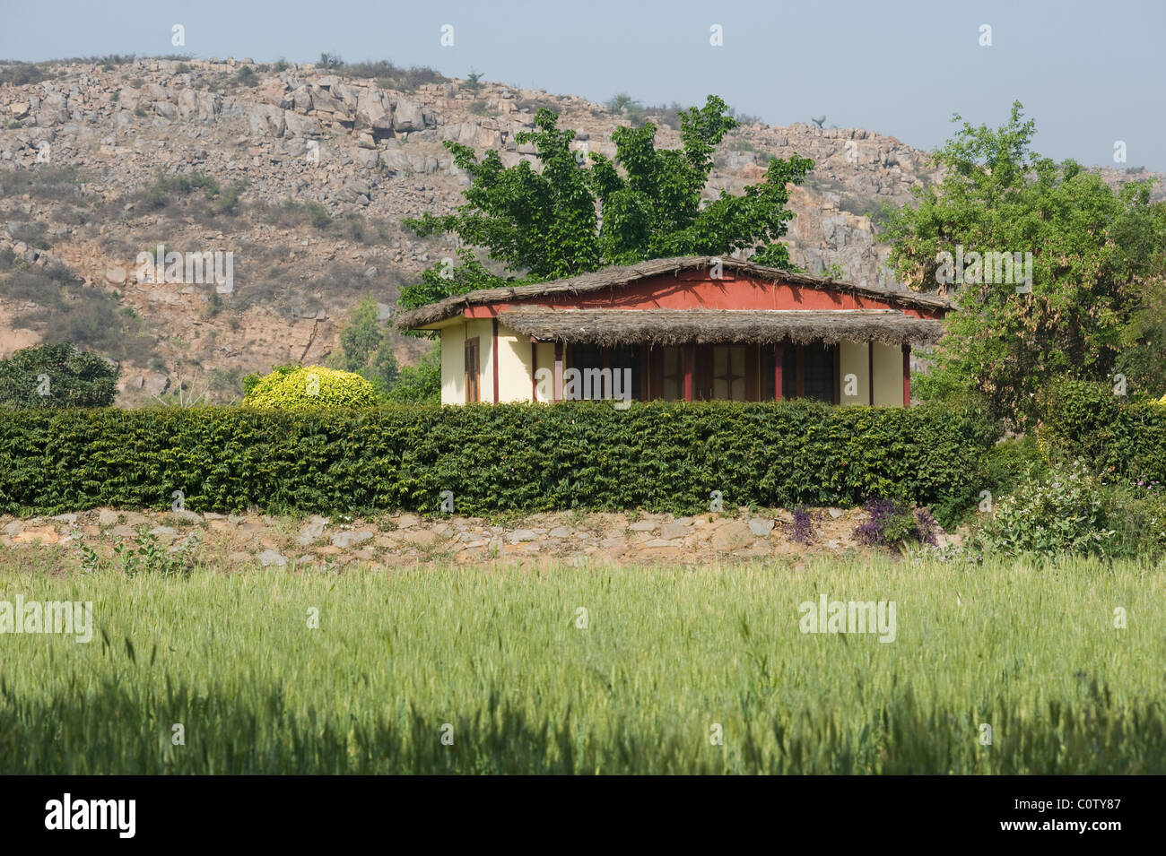 House in a field Stock Photo - Alamy