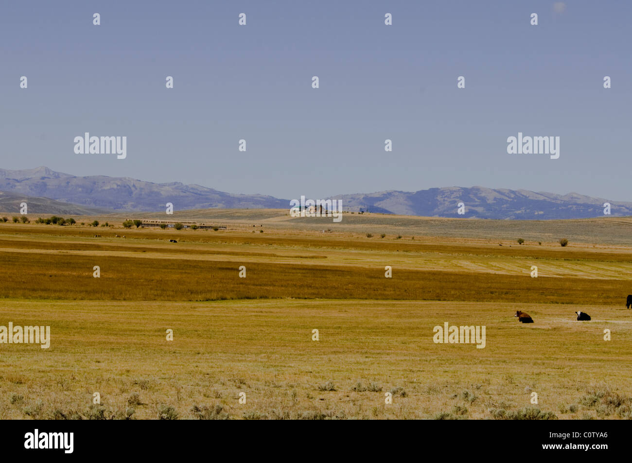 Eastern wyoming grassy plains hi-res stock photography and images - Alamy