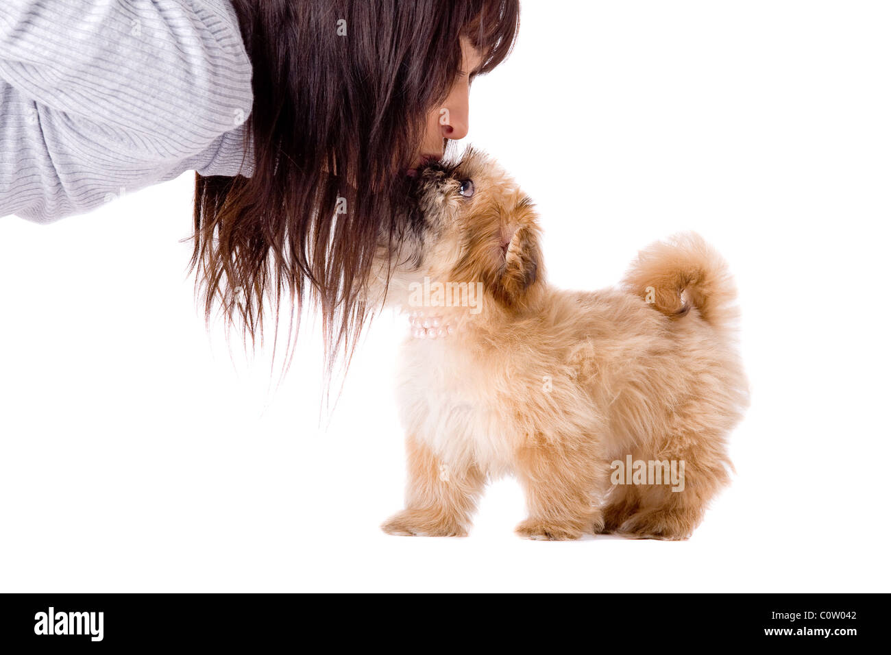 Woman pekingese dog hi-res stock photography and images - Alamy