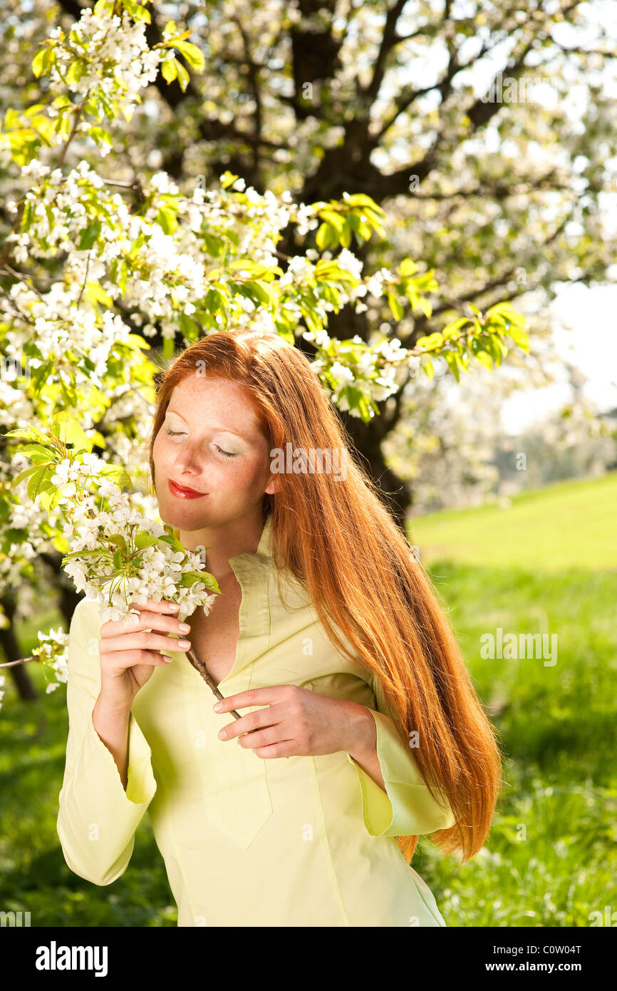 Young woman smelling blooming cherry tree on a sunny day Stock Photo ...