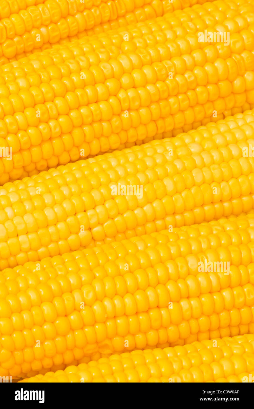 Extreme close up of yellow corn cobs Stock Photo - Alamy