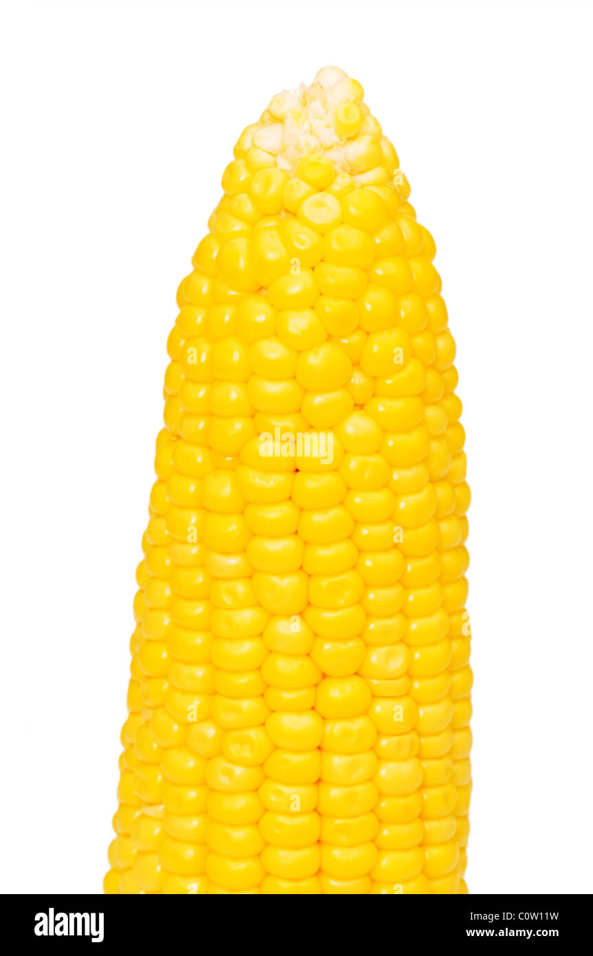 Corn cob isolated on the white background Stock Photo - Alamy