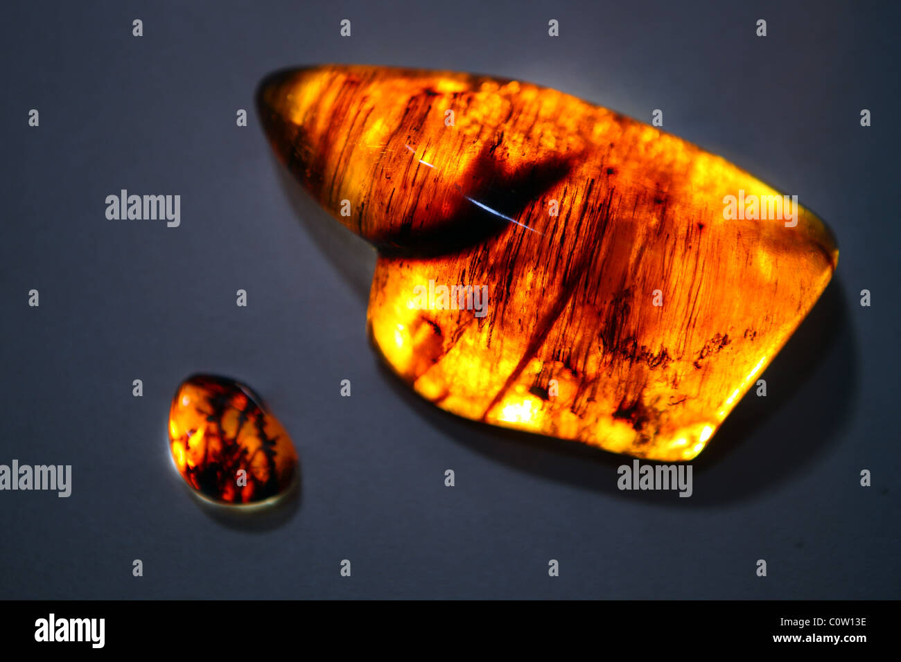 amber with insects, Amber Museum, Santo Domingo, Dominican Republic ...