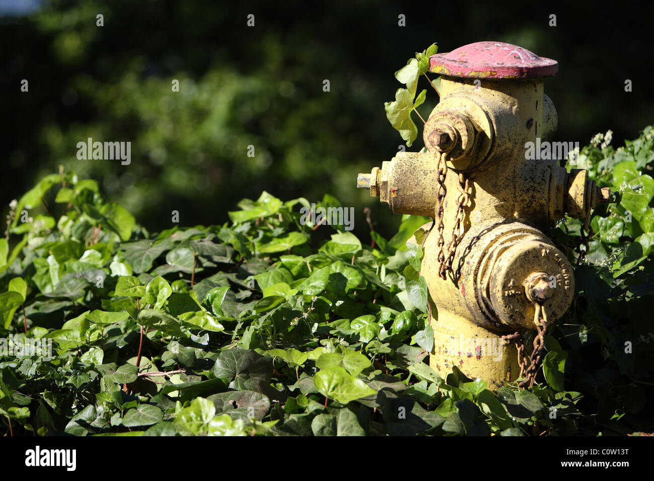 Fire hydrant johnny pump hi-res stock photography and images - Alamy
