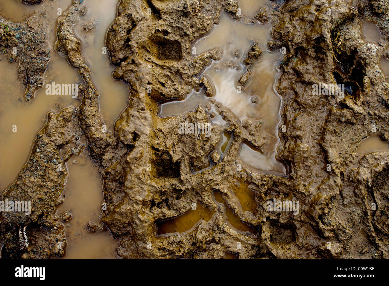 A muddy puddle on a path on Exmoor Stock Photo - Alamy