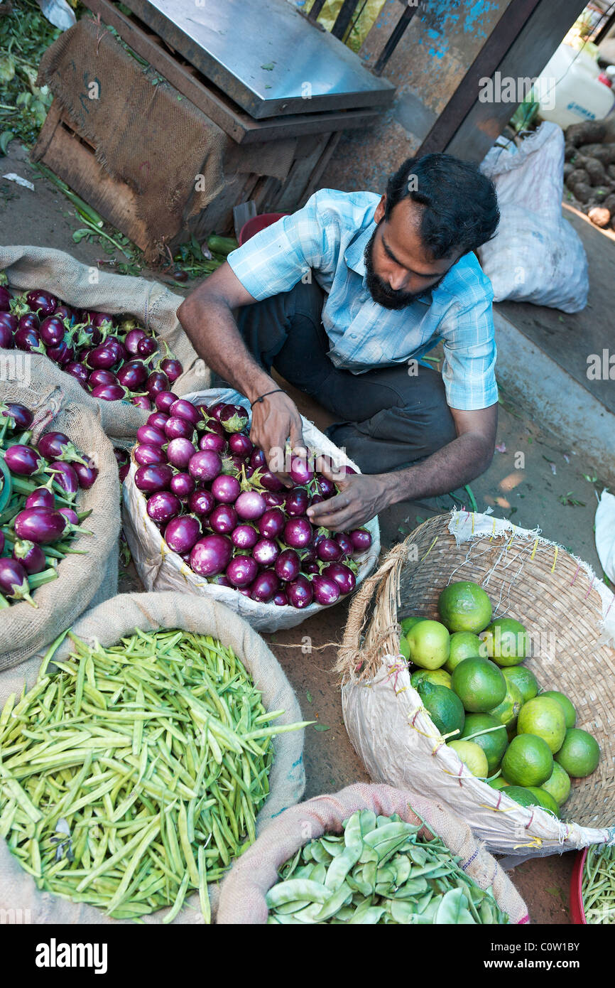 Vegetables Name Kerala at Juanita Morris blog