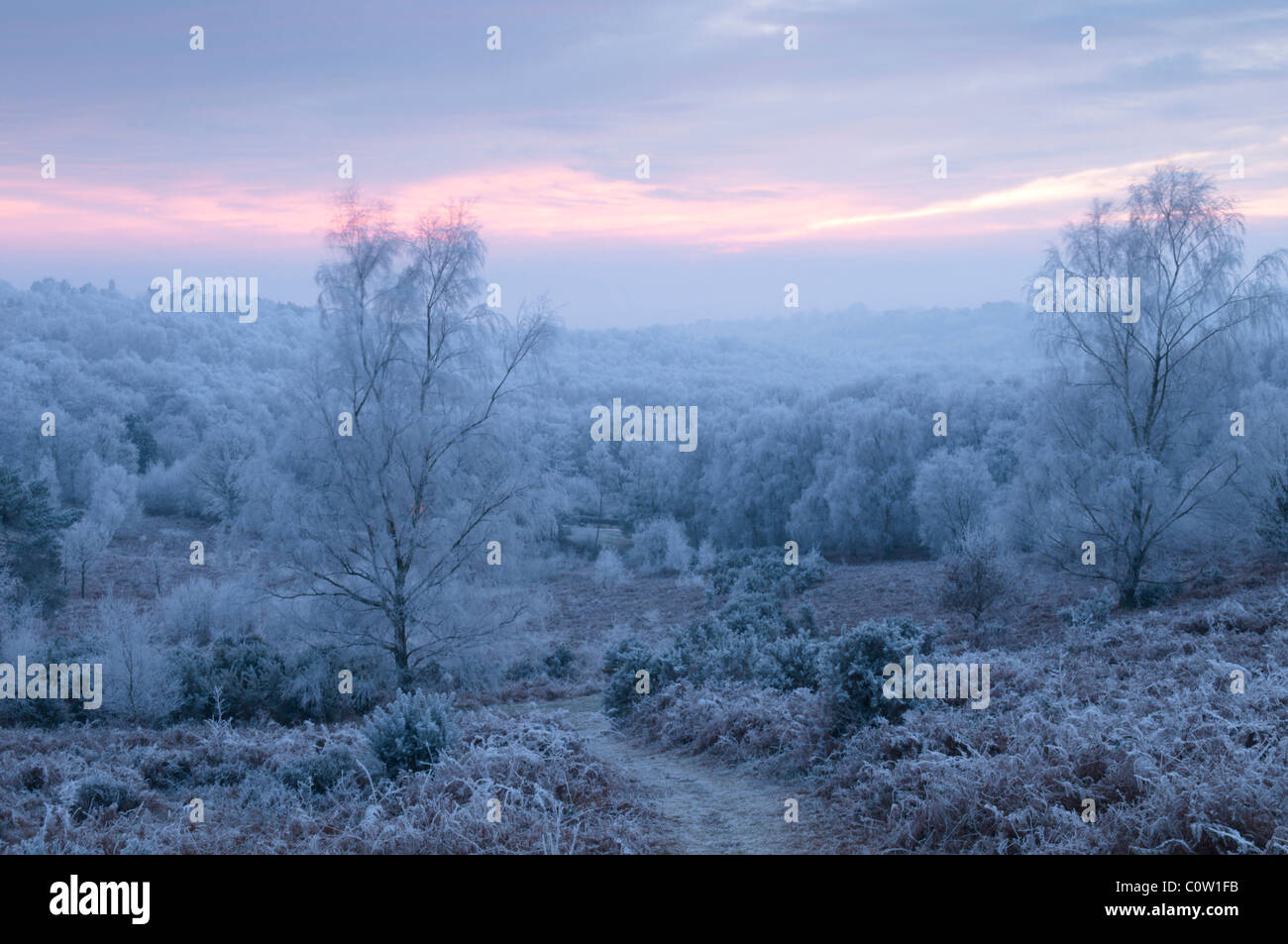 Woolbeding common west sussex hi-res stock photography and images - Alamy