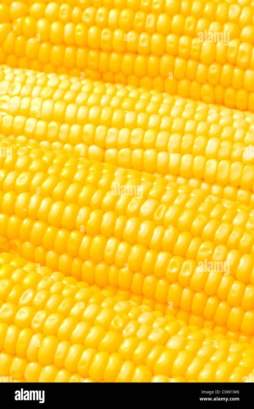 Extreme close up of yellow corn cobs Stock Photo - Alamy