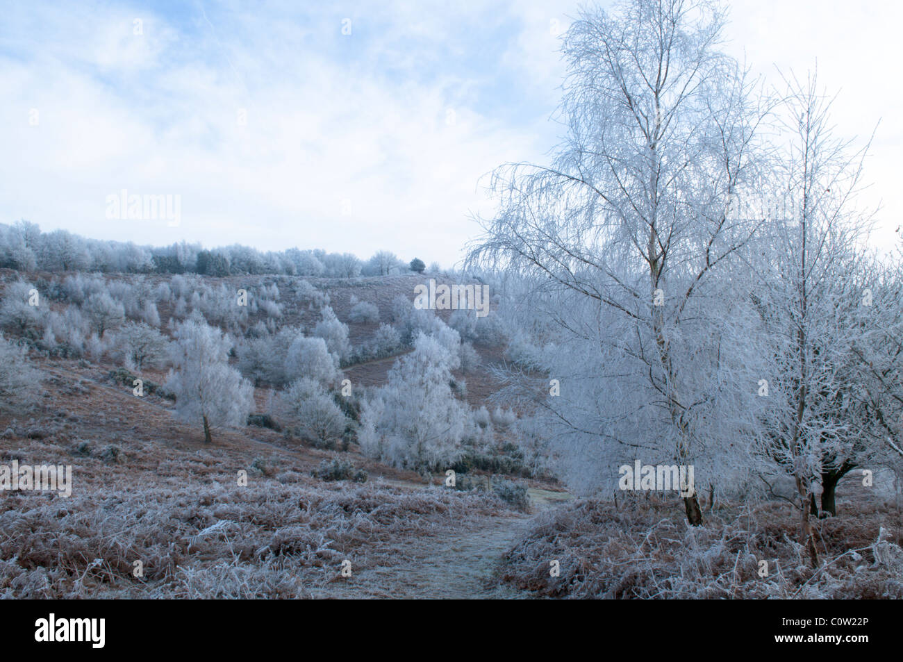 Hoar frost. View south over Woolbeding Common from fringes of Telegraph ...