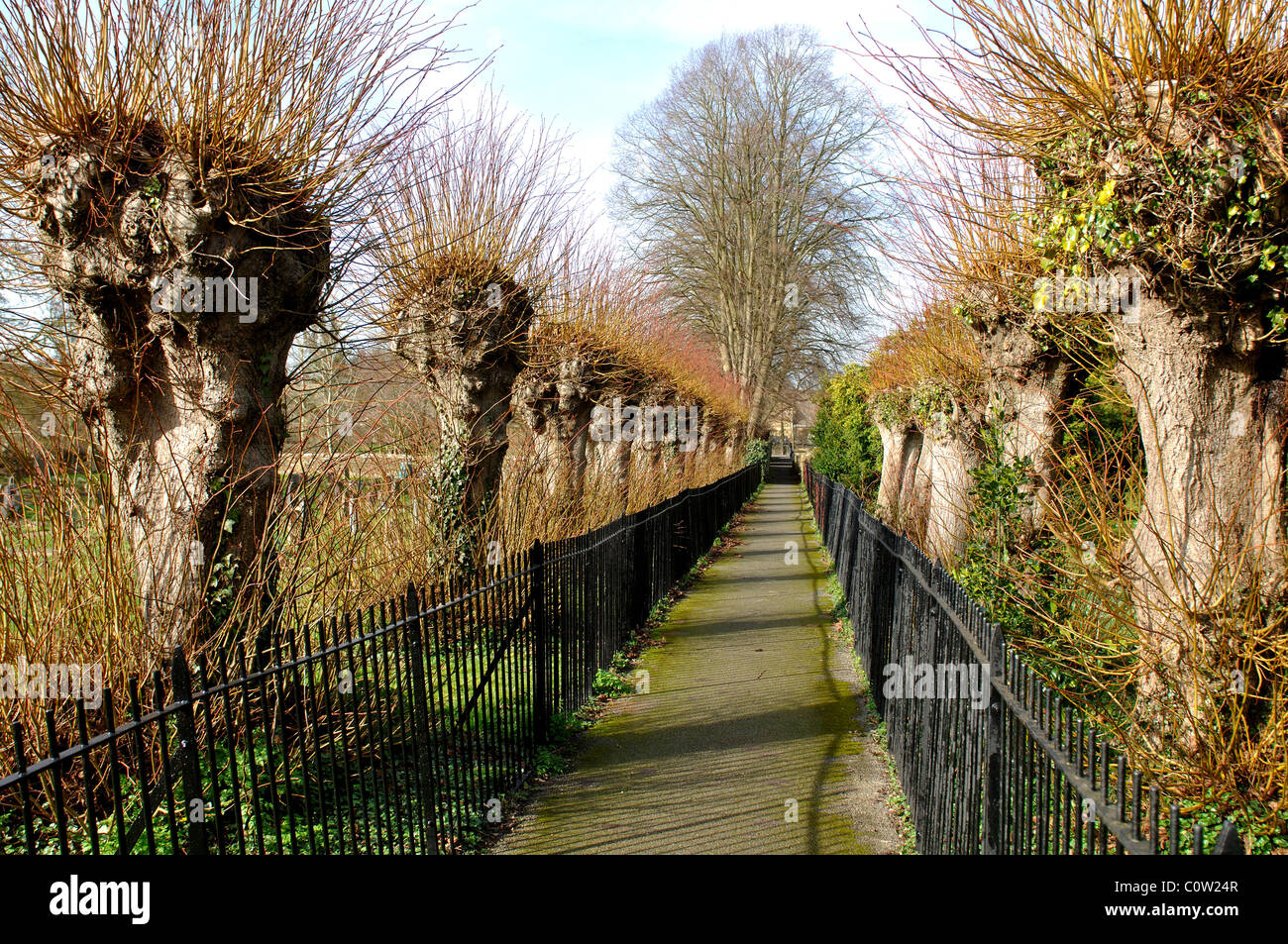 Shipton under wychwood village hi-res stock photography and images - Alamy