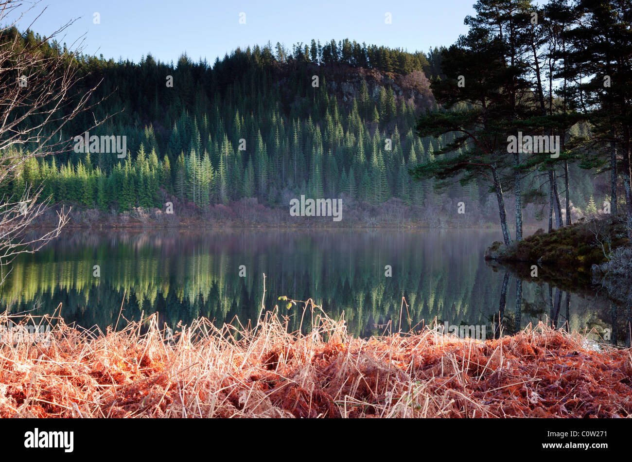 Reflections in icy Loch Lundie in Strathellen near Plockton Wester Ross ...