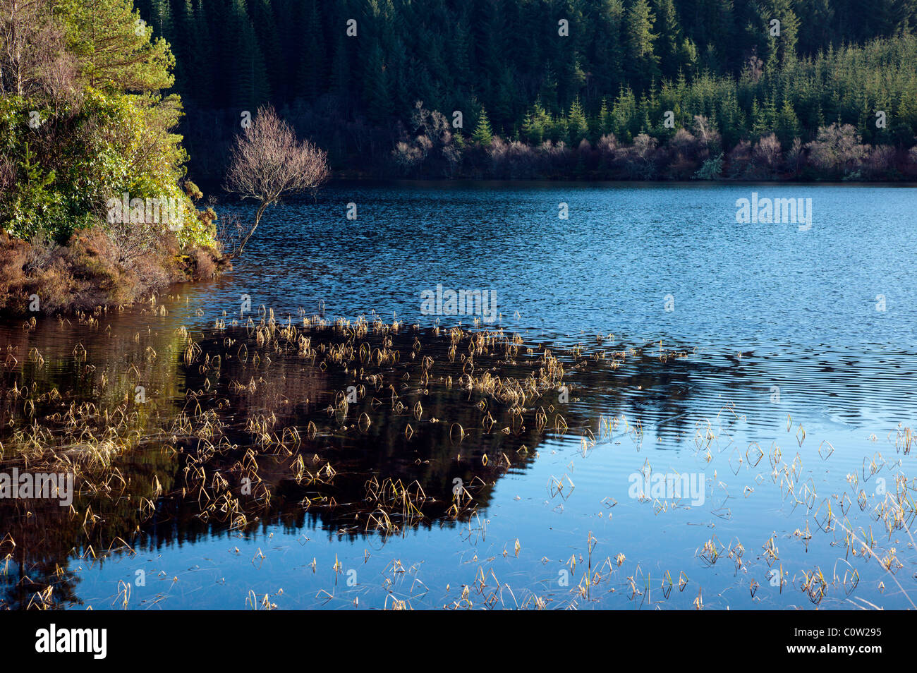 Reflections in icy Loch Lundie in Strathellen near Plockton Wester Ross ...