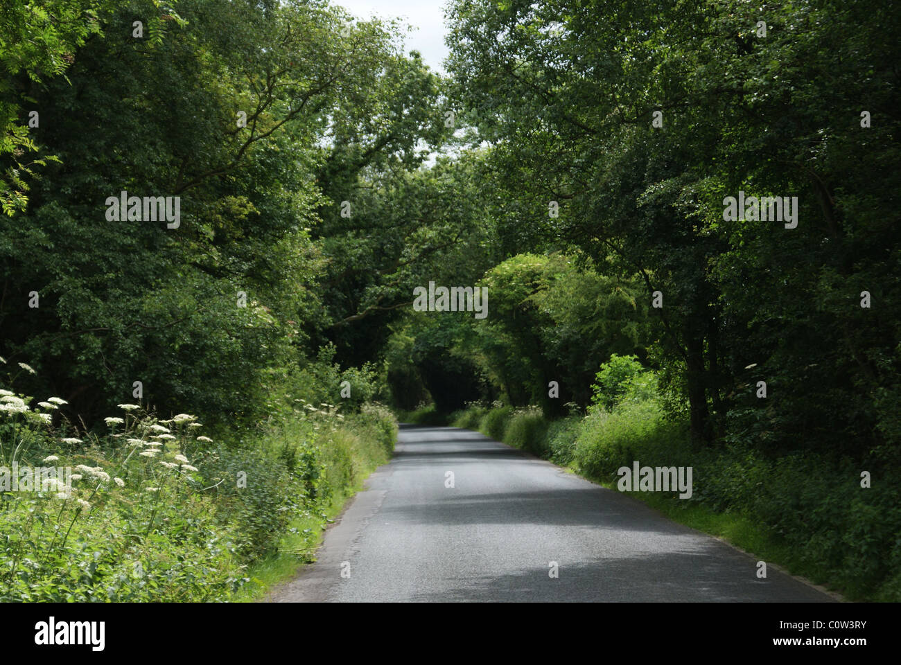 English country road Stock Photo - Alamy