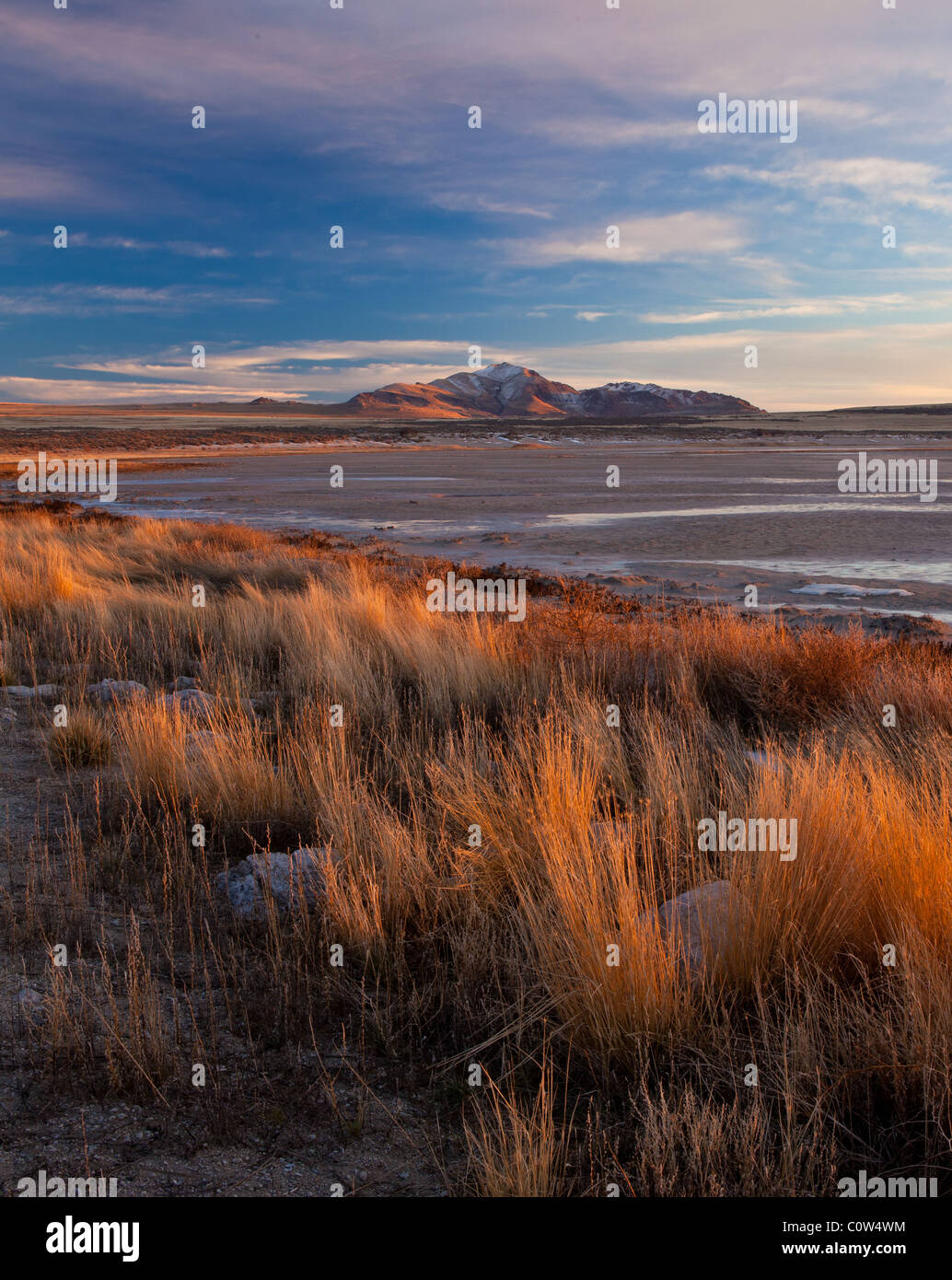 Great red island hi-res stock photography and images - Alamy
