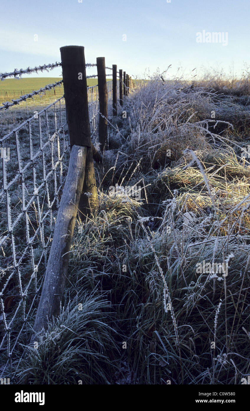Barbed wire fencing farm field winter field hi-res stock photography ...