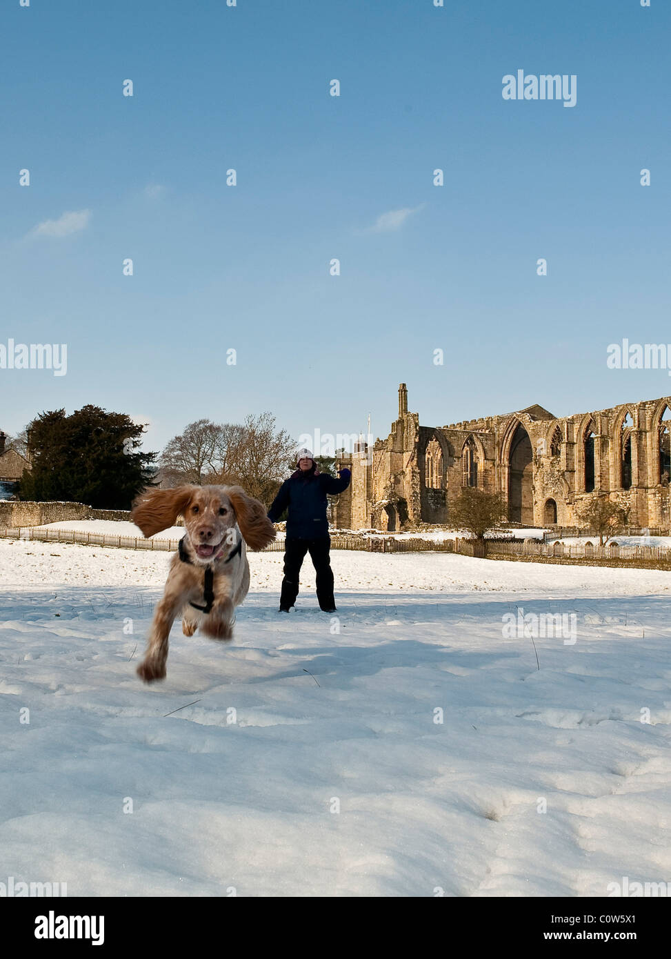 River wharfe ilkley addingham hi-res stock photography and images - Alamy