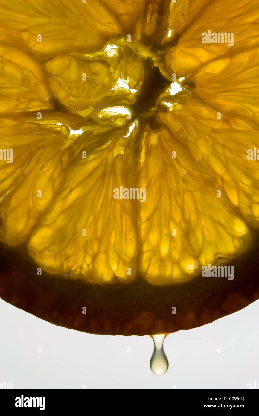 Orange Juice Dripping from Orange Slice - Citrus Fruit Stock Photo - Alamy