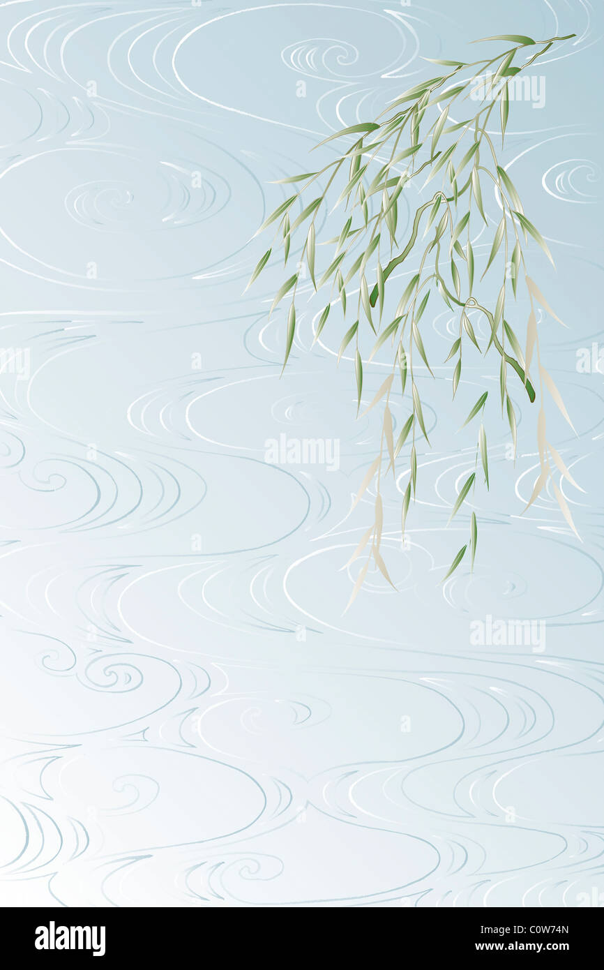 Japanese willow hi-res stock photography and images - Alamy