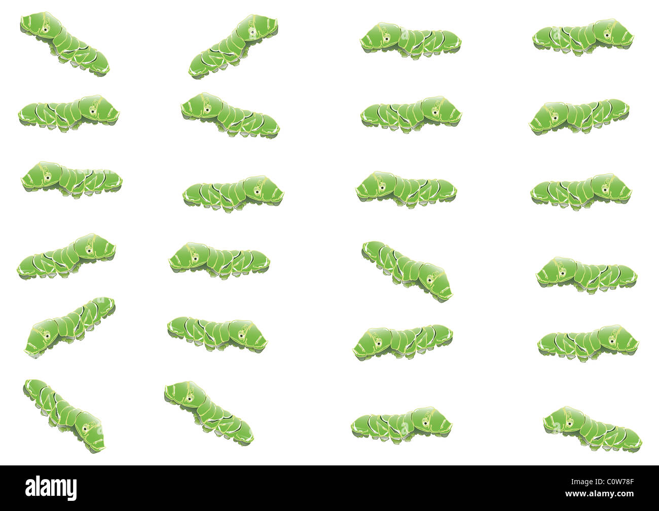 Caterpillar color pattern hi-res stock photography and images - Alamy