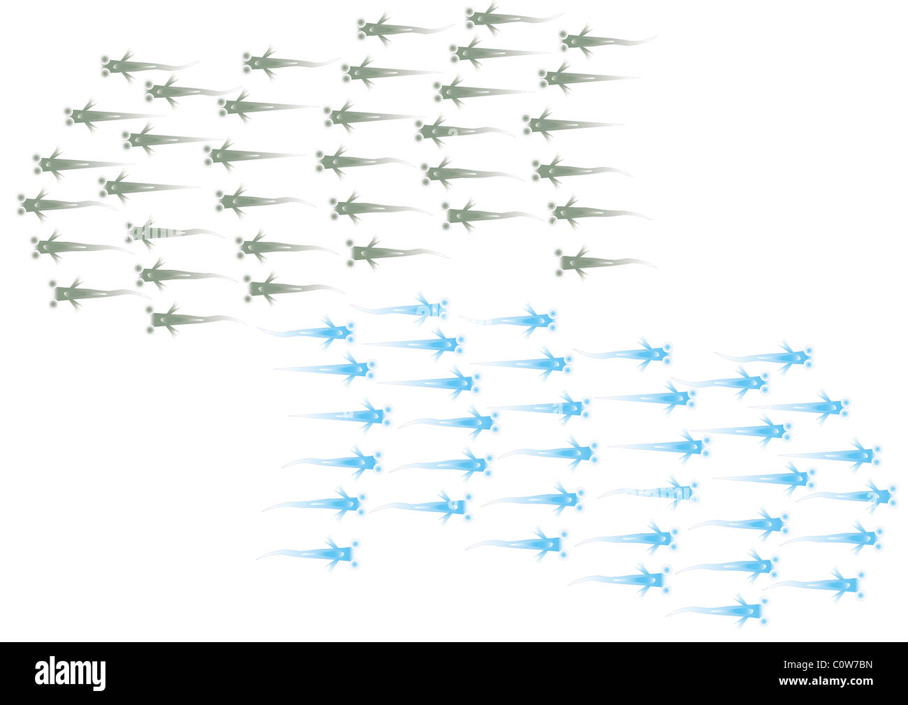 Japanese medaka Cut Out Stock Images & Pictures - Alamy