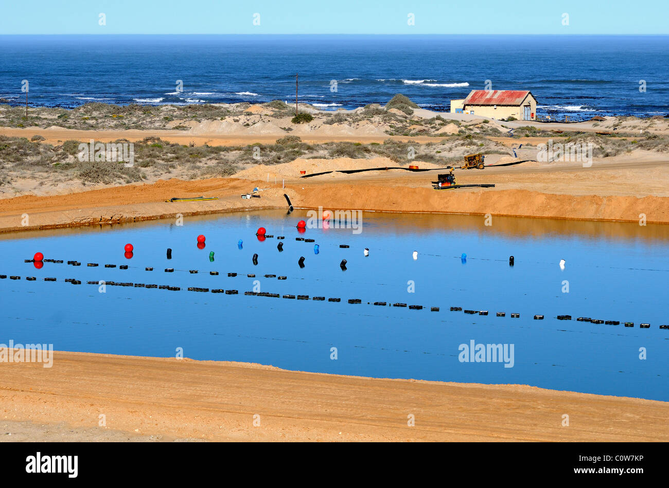 Abalone farm south africa hi-res stock photography and images - Alamy