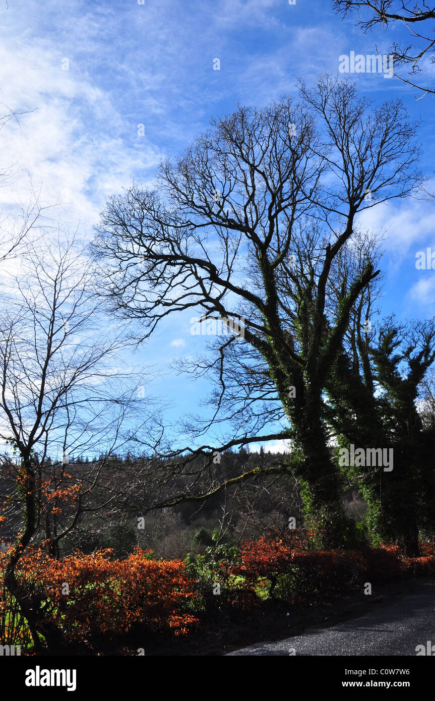 Isle of arran road hi-res stock photography and images - Alamy