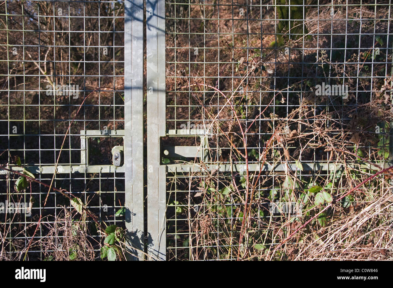 A metal mesh gate secured with a padlock. Behind the gate is a rather ...
