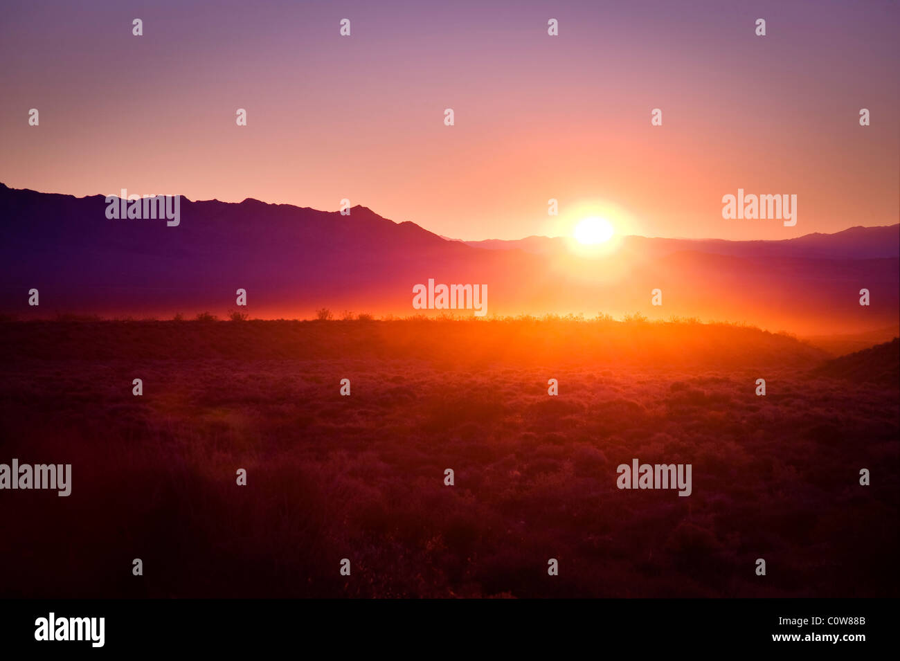 Desert Sunrise. Nevada USA Stock Photo - Alamy