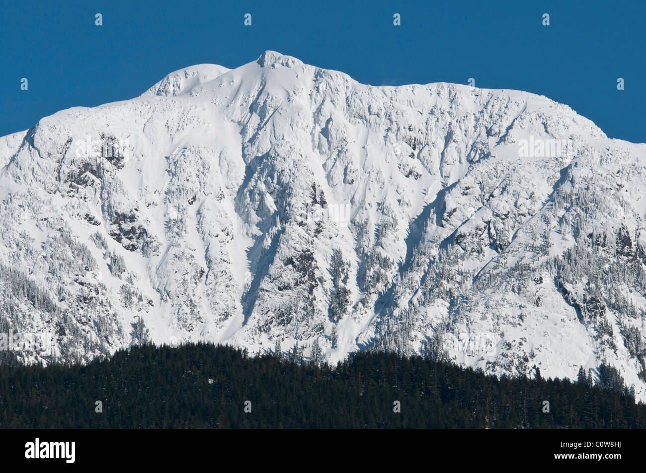Golden Ears Mountain - taken from Widgeon Lake in Maple Ridge, BC ...