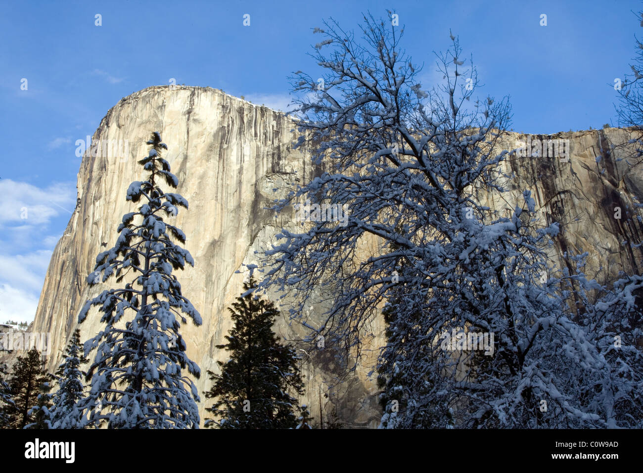 El Capitan during winter in Yosemite Stock Photo - Alamy