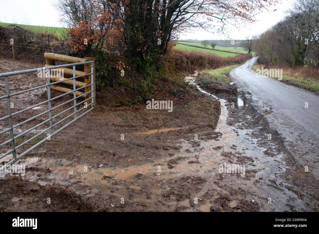 Muddy ditch hi-res stock photography and images - Alamy