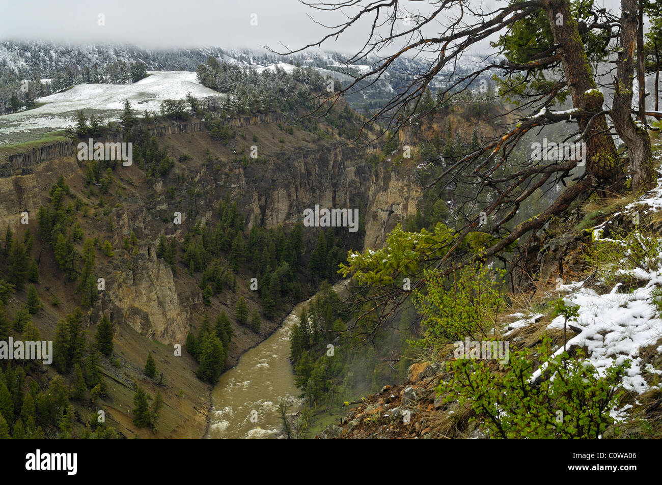Yellowstone river canyon hi-res stock photography and images - Alamy