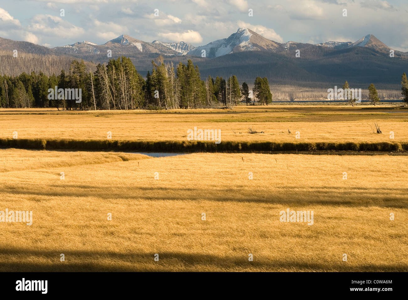 Wyoming national park grassland hi-res stock photography and images - Alamy