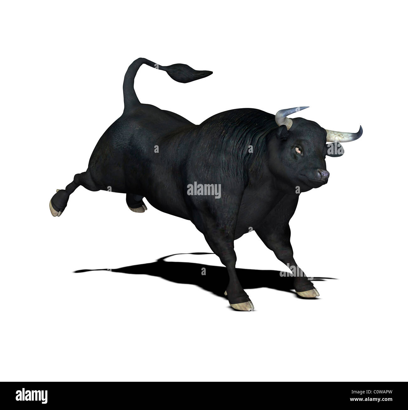 Vieh bulls hi-res stock photography and images - Alamy