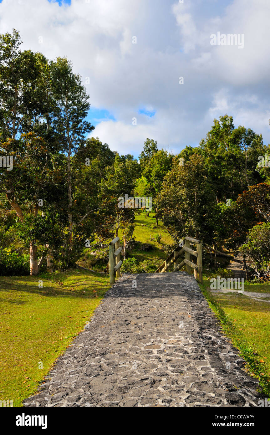 Foot path between the parking lot and viewpoint at Alexandra Falls ...