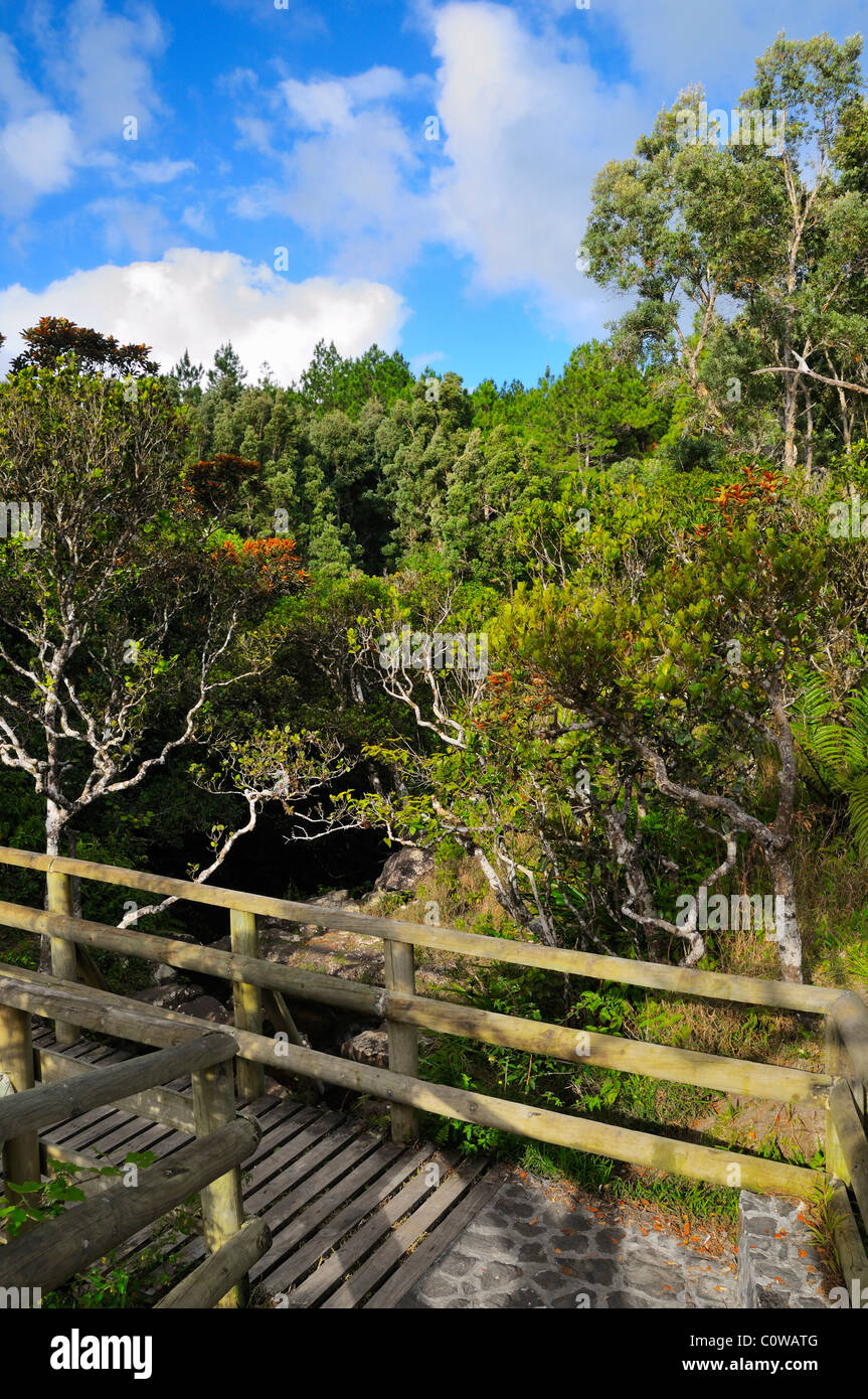 Bridge between the parking lot and viewpoint at Alexandra Falls, Black ...