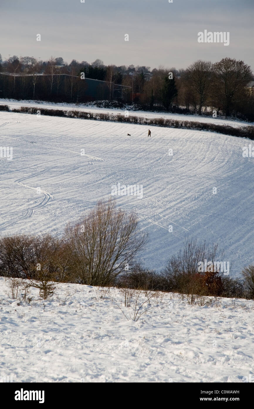 A snowy English landscape with a person walking a dog Stock Photo - Alamy