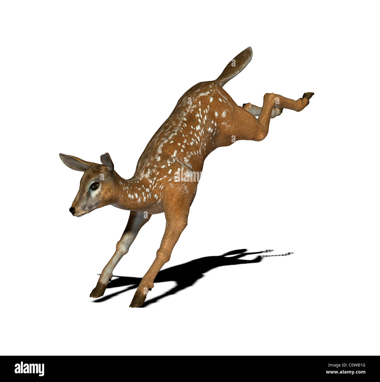 Fawn cutout hi-res stock photography and images - Alamy