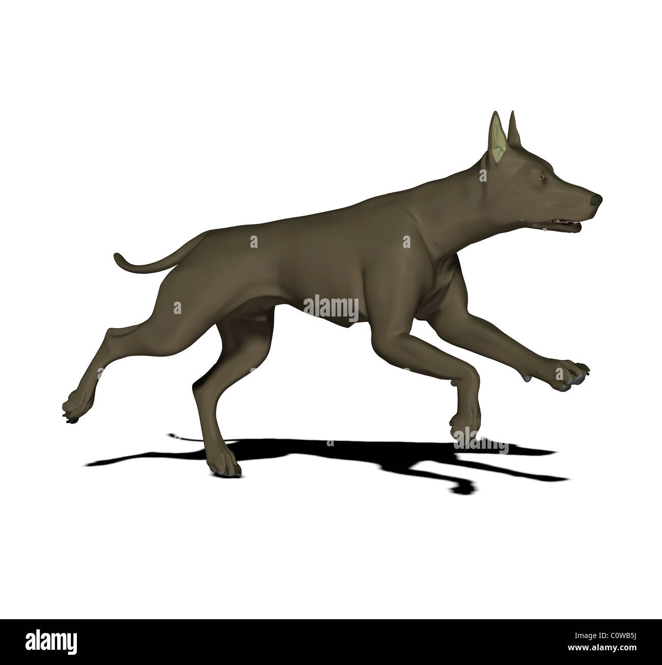 Illustration Biology Cut Out Stock Images & Pictures - Alamy