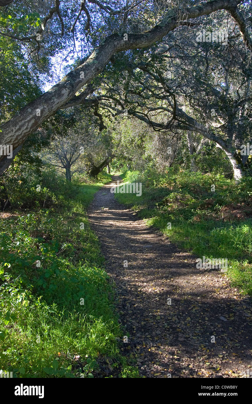 Carmel valley ranch california hi-res stock photography and images - Alamy