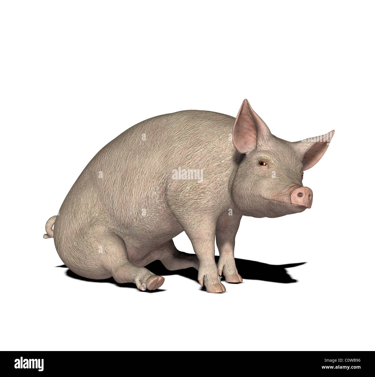 3d schwein hi-res stock photography and images - Alamy