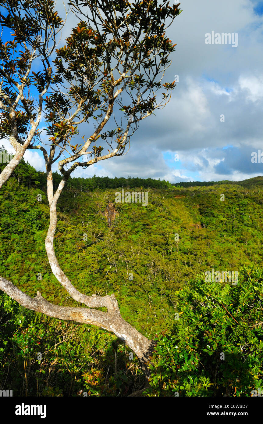 Alexandra mauritius hi-res stock photography and images - Alamy