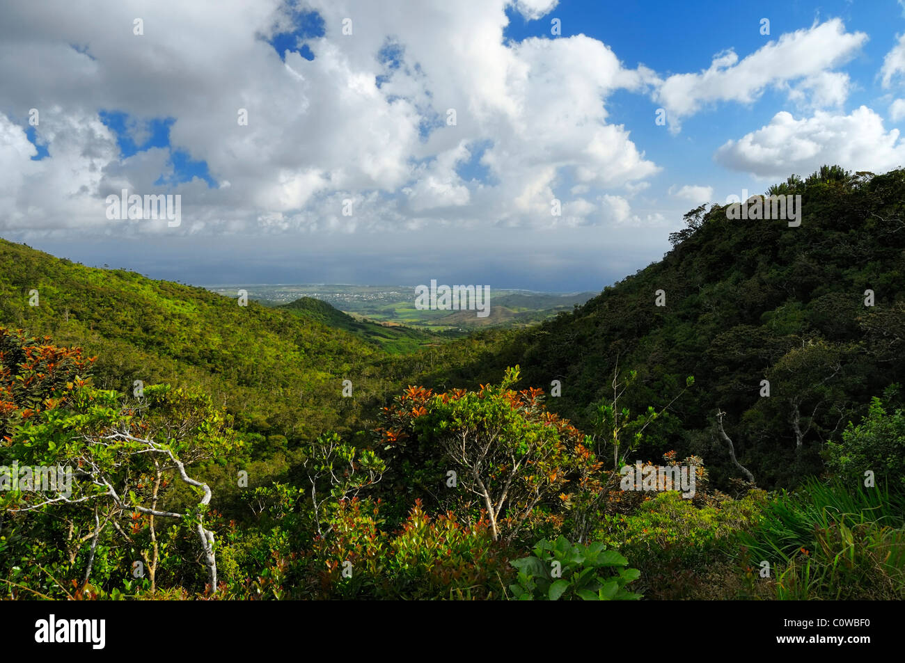 View onto the south coast from Alexandra Falls, Black River Gorges ...